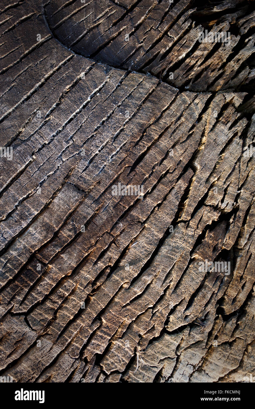 Old scratch hi-res stock photography and images - Alamy