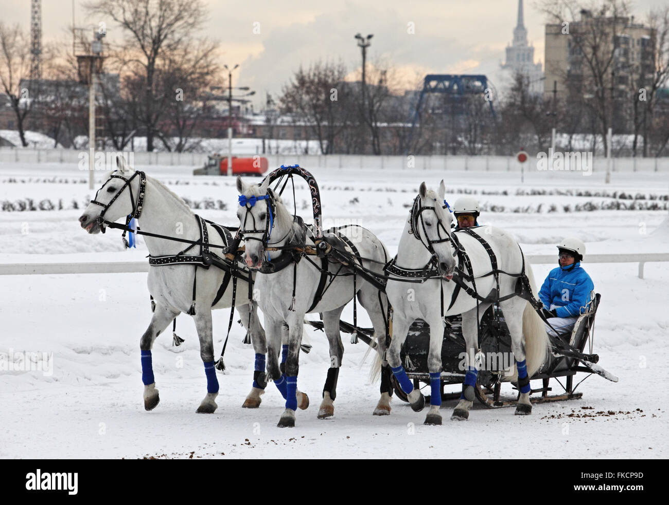 A three-horse-drawn troika in winter, Russia Stock Photo - Alamy