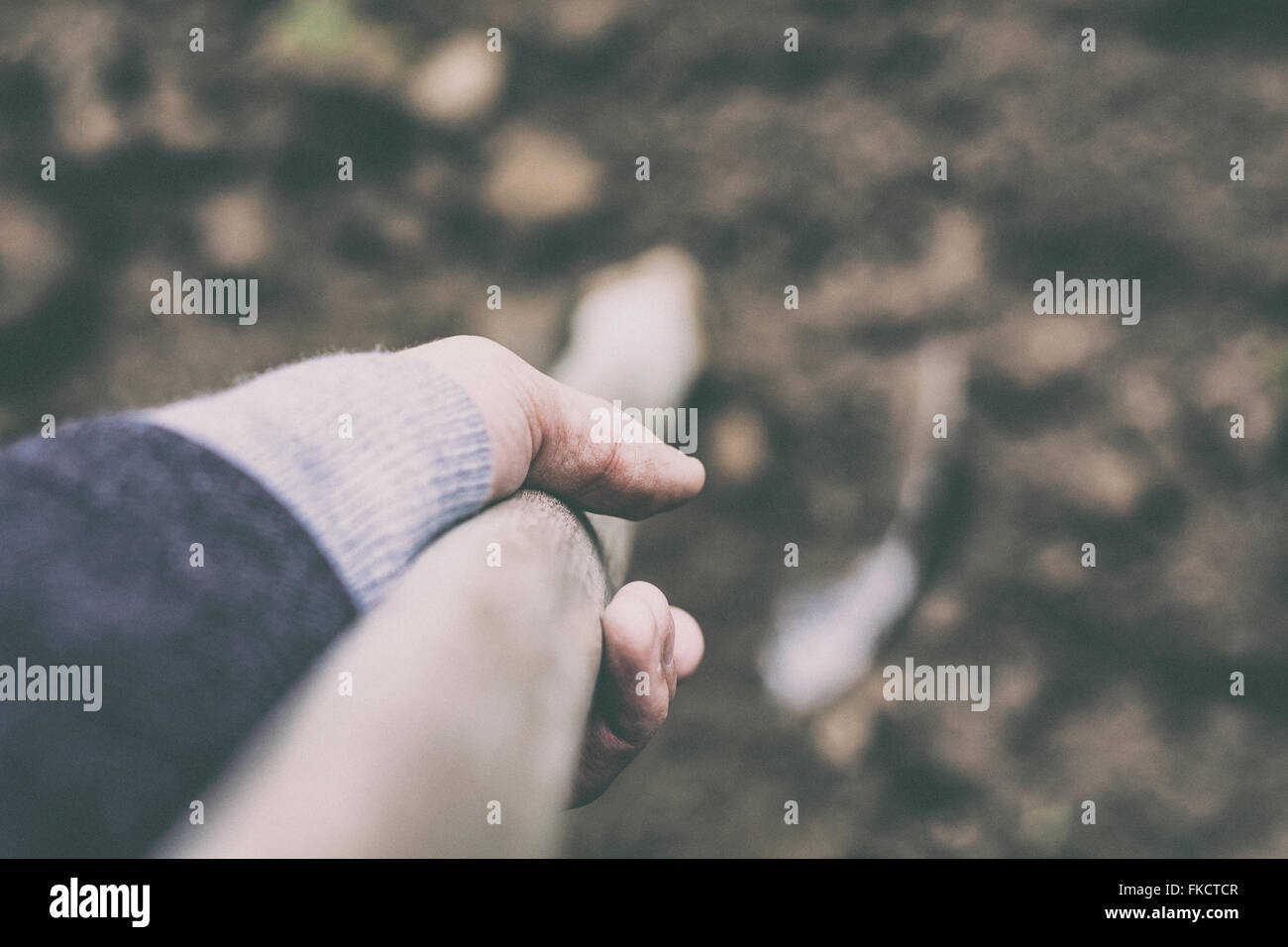 Farmer weeding with a hoe Stock Photo - Alamy