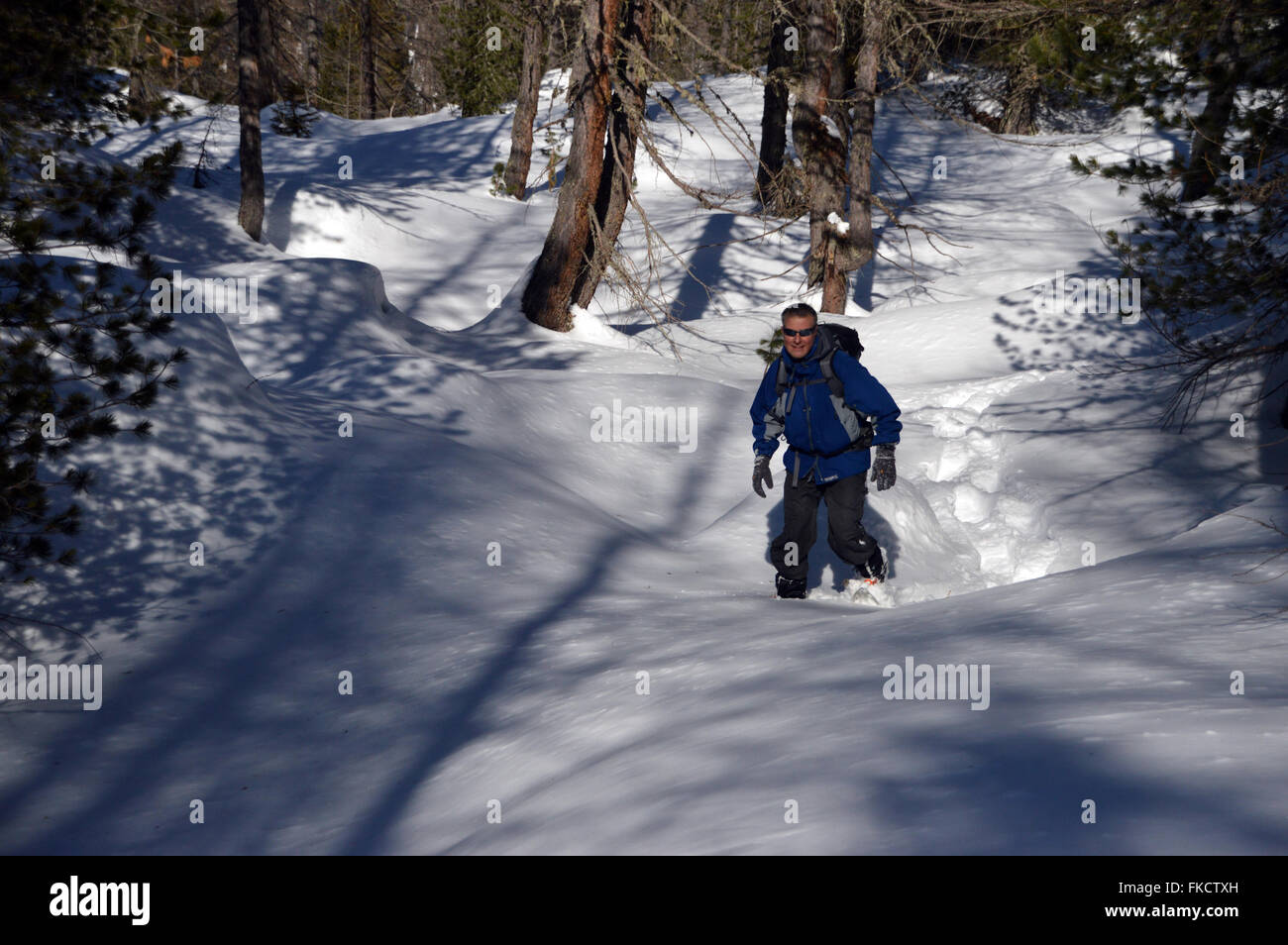 A Lone Single Male Snow Shoeing in Deep Snow in a Forest Stock Photo ...