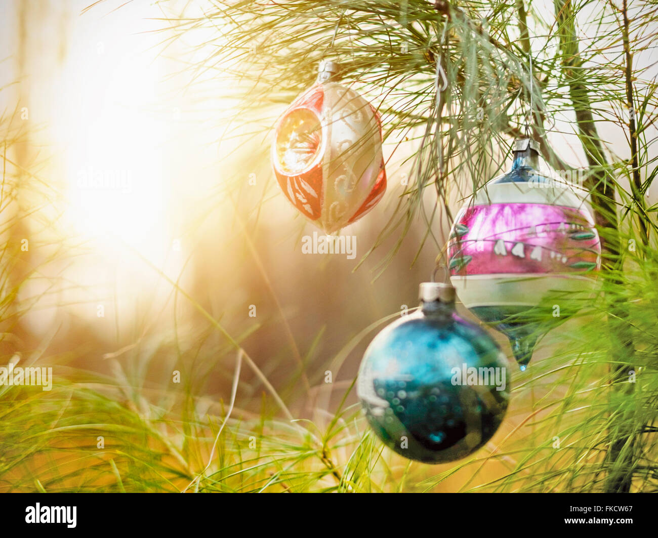 Ornament hanging from tree hi-res stock photography and images - Alamy