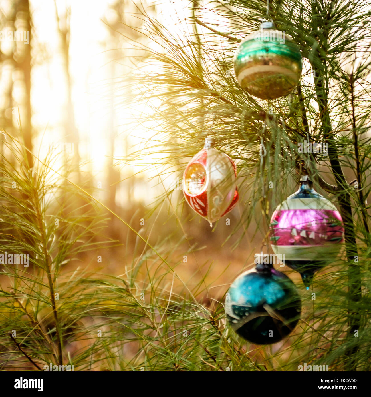 Ornament hanging from tree hi-res stock photography and images - Alamy