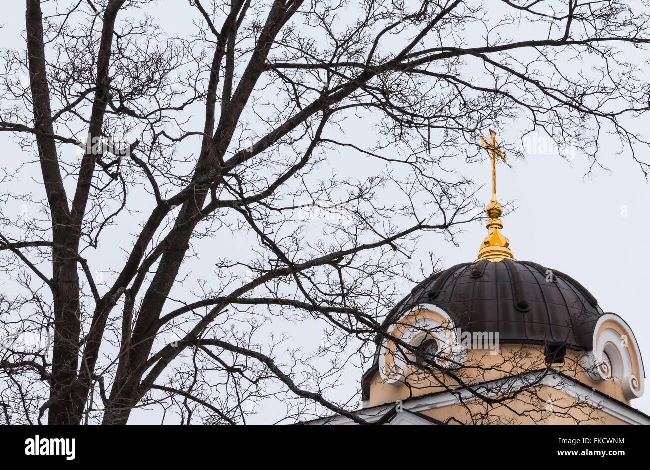 Branches of tree and dome of Orthodox church on the background of ...