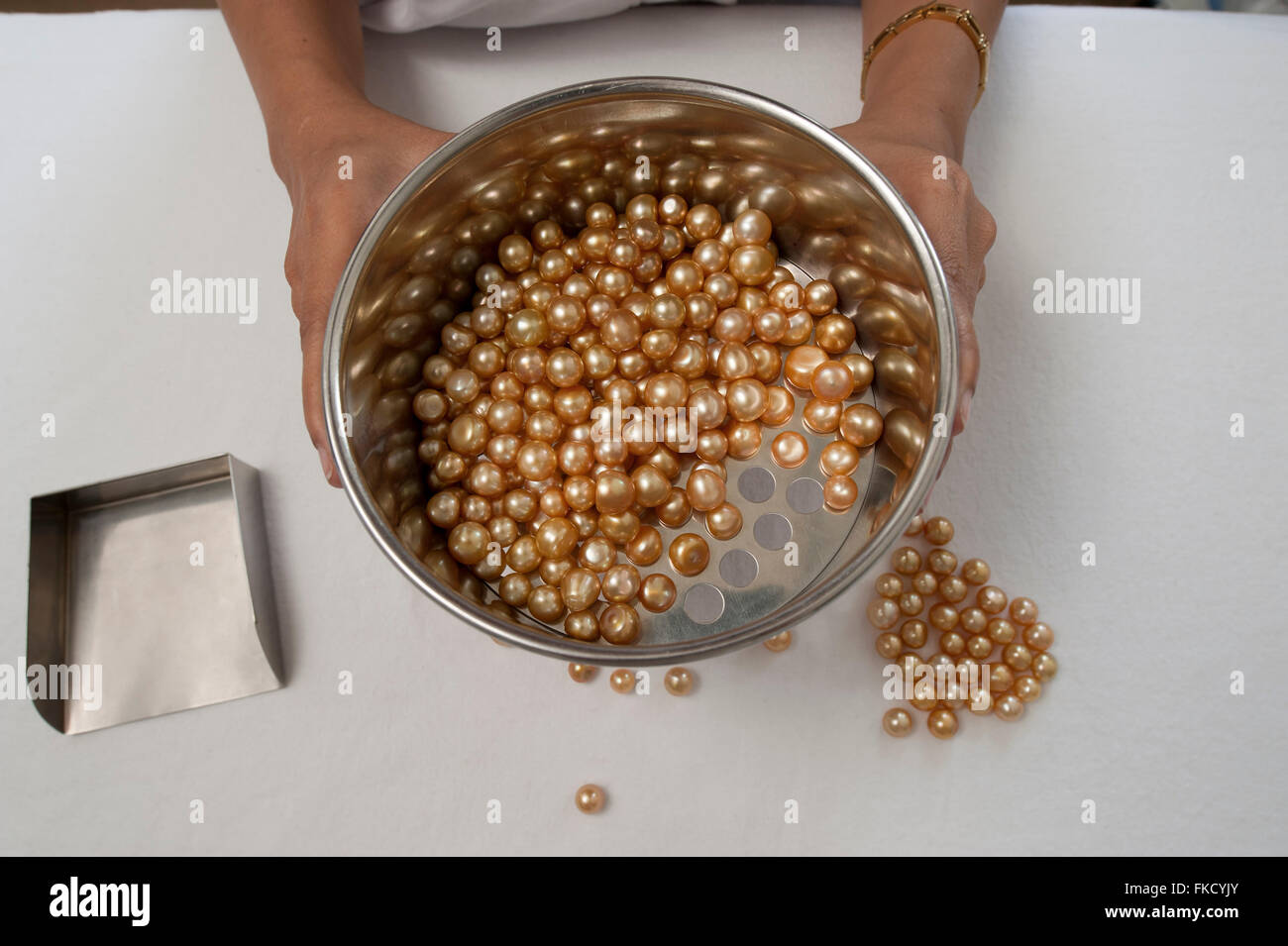 Sorting of Jewelmer pearls in Manila Stock Photo - Alamy