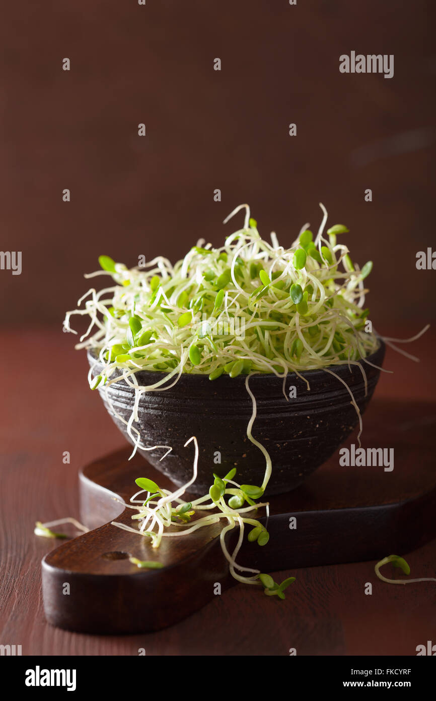 fresh clover sprouts in black bowl Stock Photo - Alamy