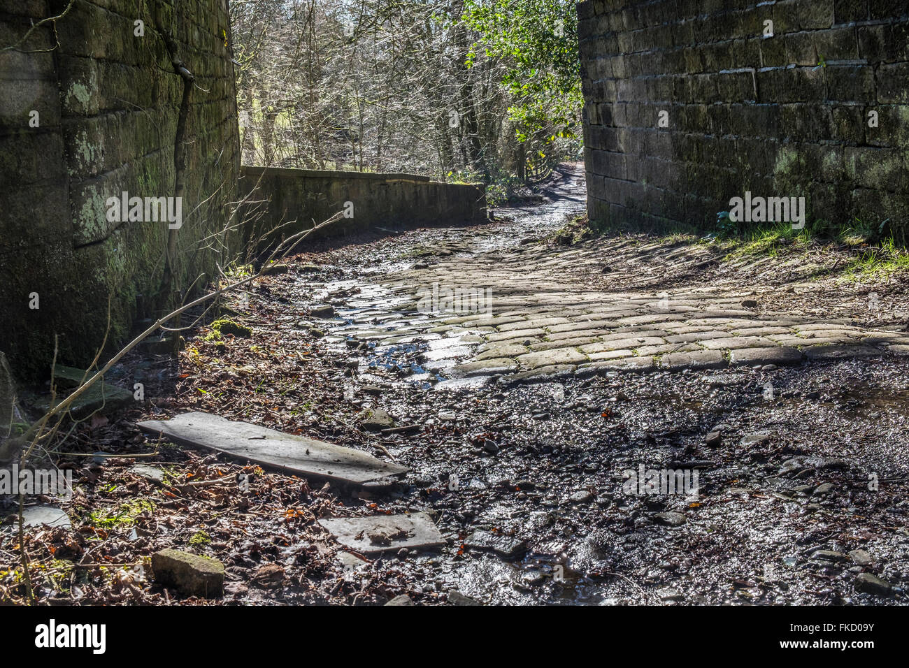 Cobbled Pathway High Resolution Stock Photography and Images - Alamy