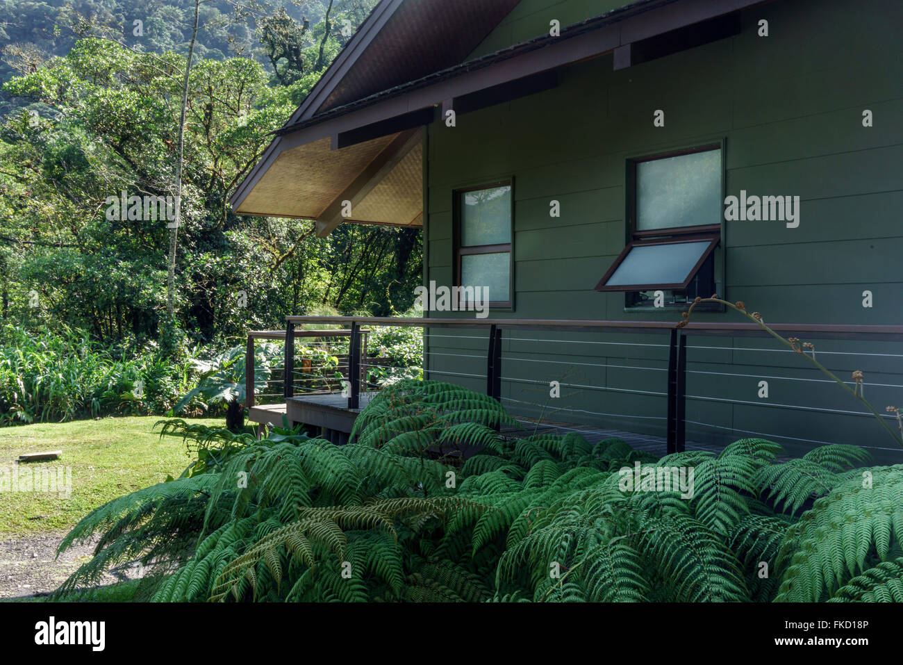 Resort in forest hi-res stock photography and images - Alamy