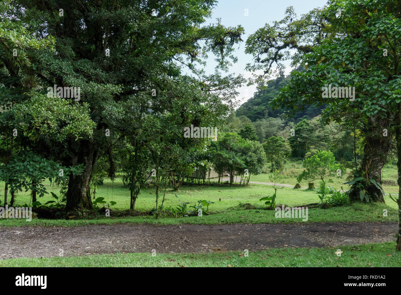 Field forest a hi-res stock photography and images - Alamy