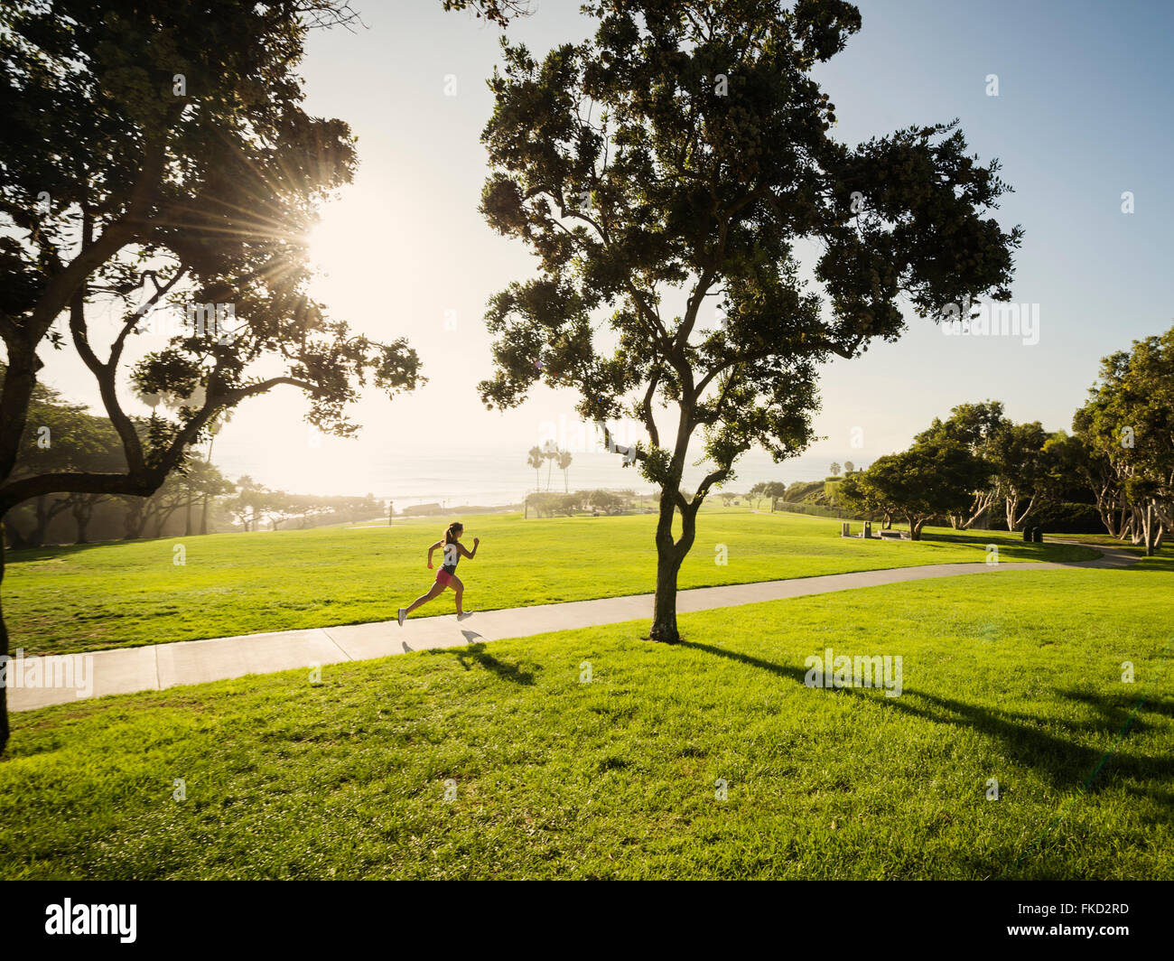 Running in park hi-res stock photography and images - Alamy