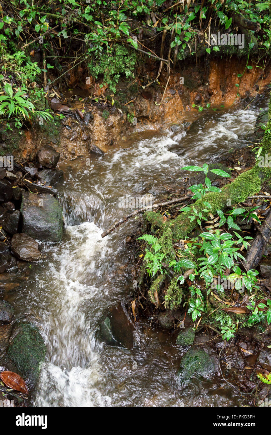 Stream flowing through hi-res stock photography and images - Alamy