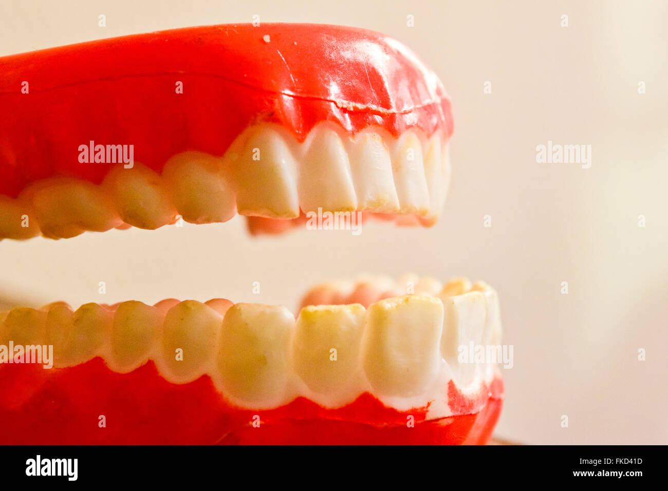 Close-up of teeth Stock Photo - Alamy