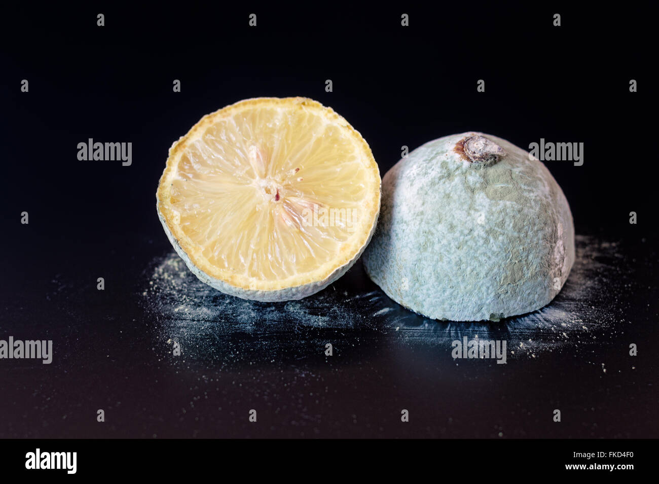 Blue mold hi-res stock photography and images - Alamy