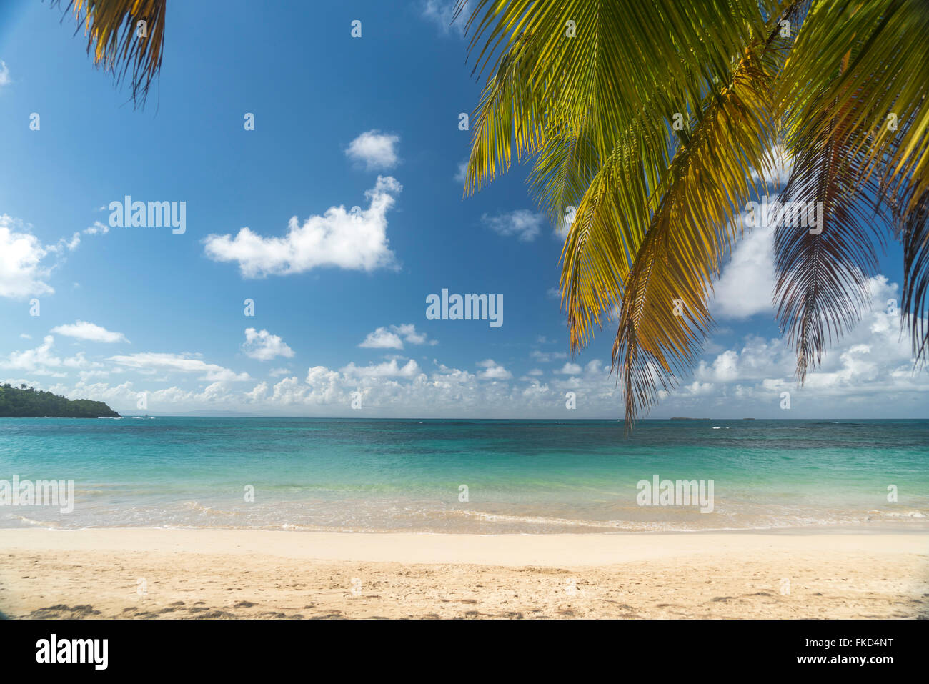 Las terrenas dominican republic beach hi-res stock photography and ...