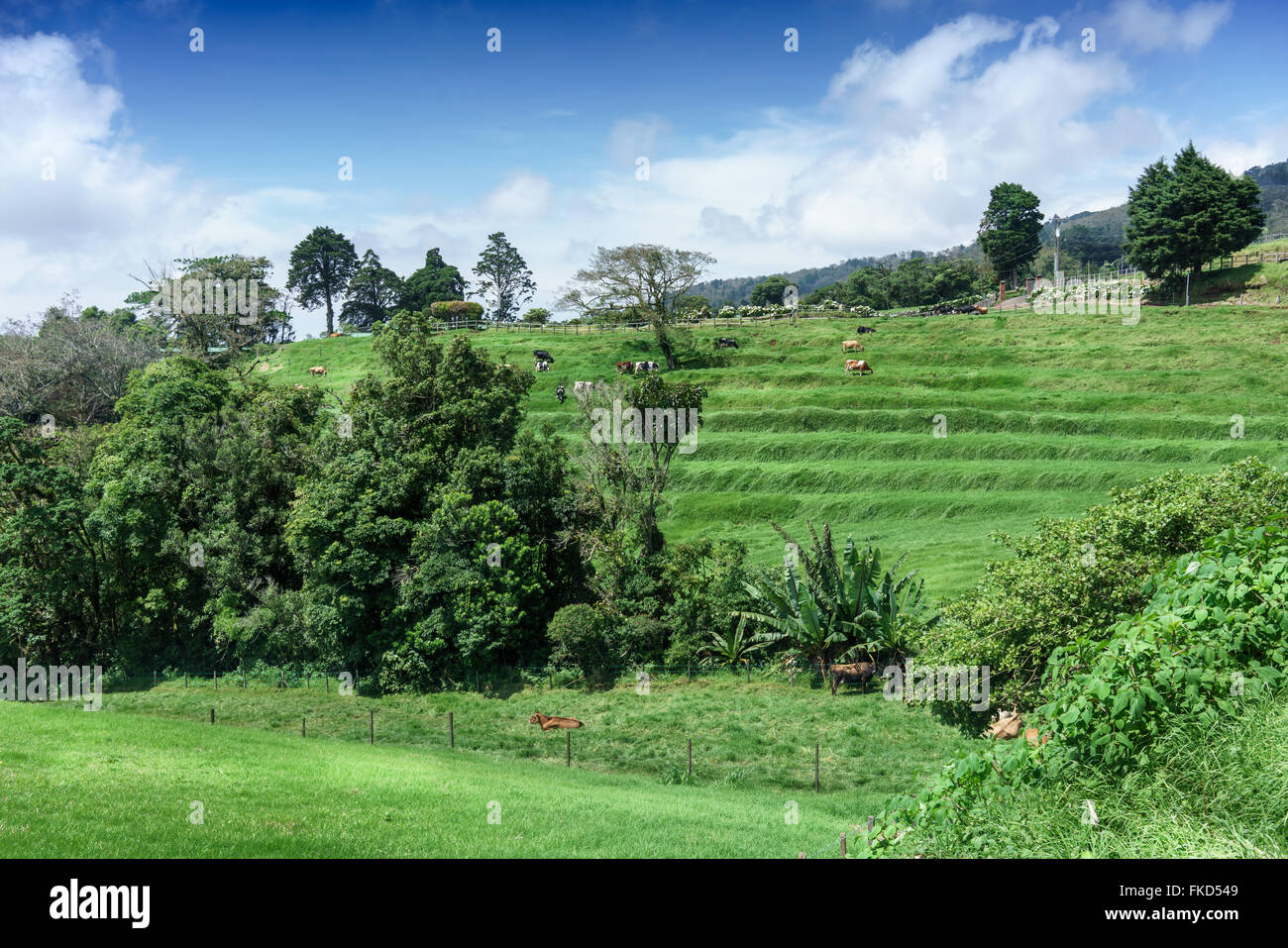 Elevated farm view hi-res stock photography and images - Alamy