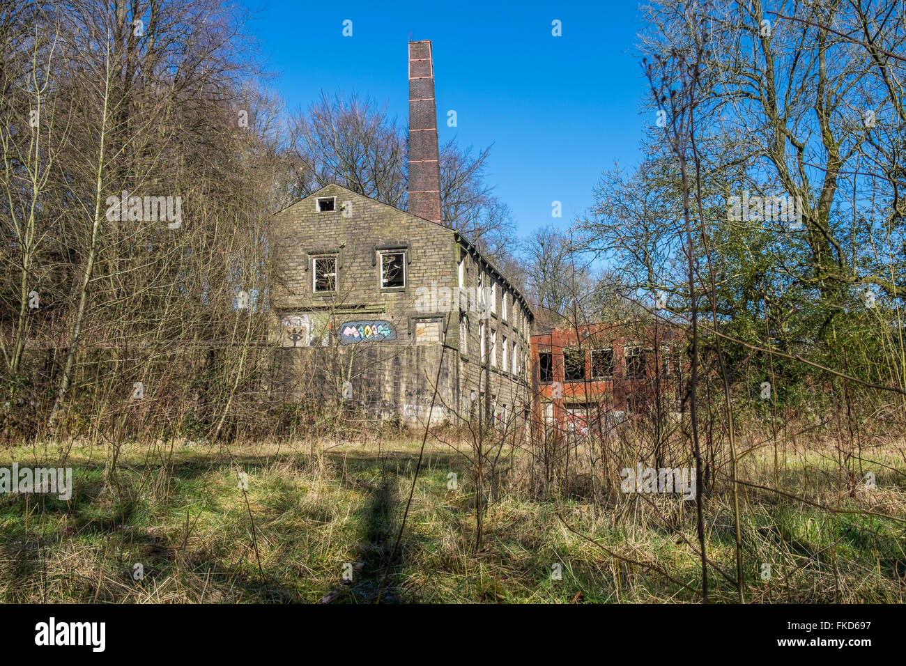 Derelict house uk interior hi-res stock photography and images - Alamy