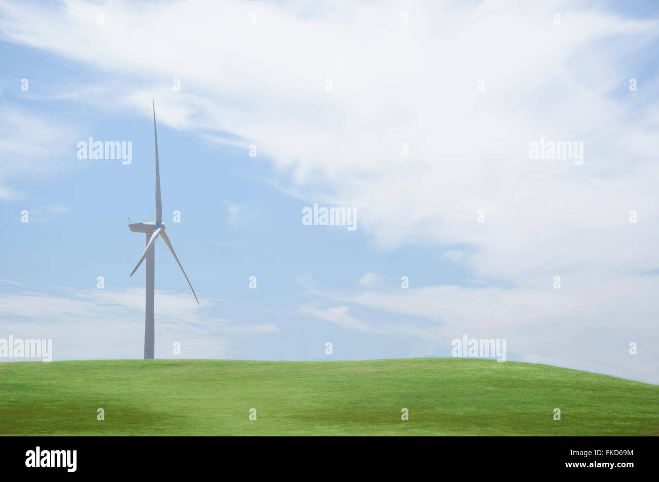 Field grass in wind hi-res stock photography and images - Alamy