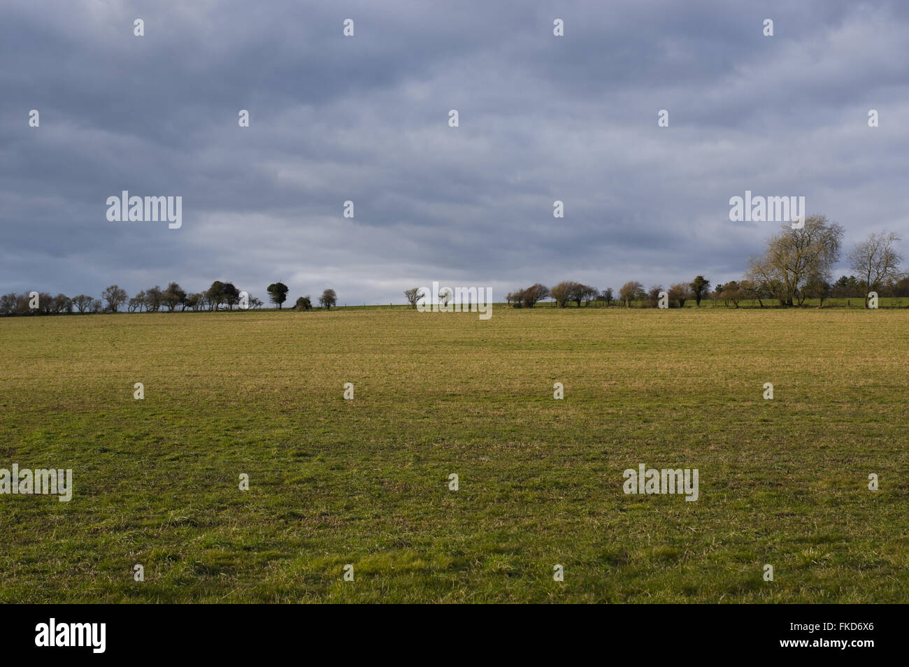 Trees line the horizon looking across a field, beneath an overcast sky ...