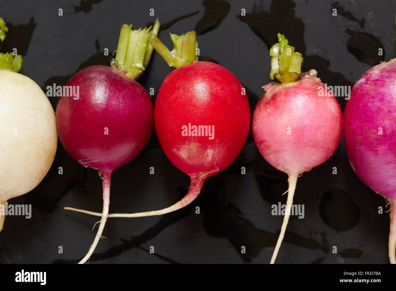 Wet snack hi-res stock photography and images - Alamy