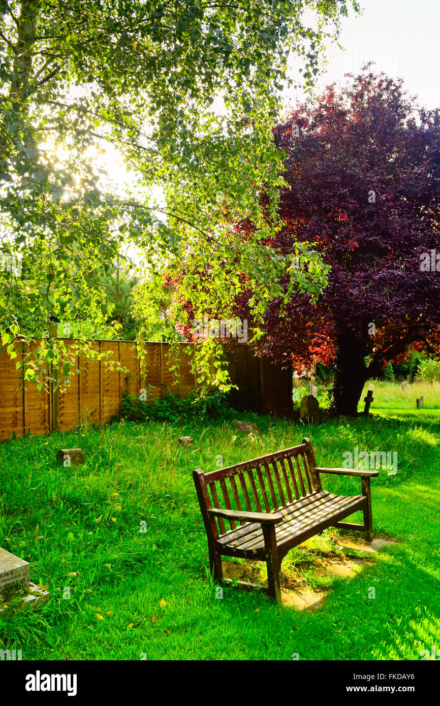 Bench in a park. London, England, United Kingdom Stock Photo - Alamy