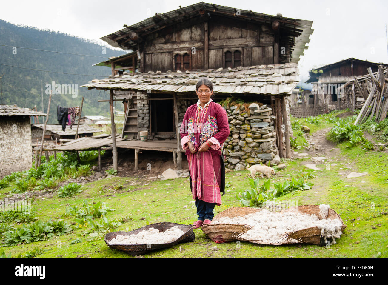 A Brokpa women drying sheep's wool in the village of Merak, Bhutan ...
