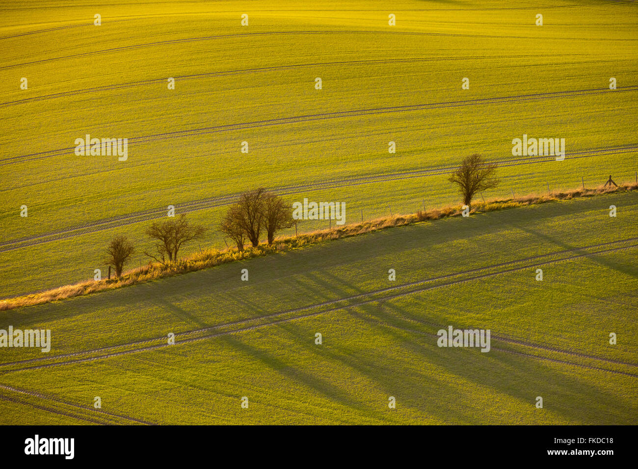Winter light on fields, Buckinghamshire, England Stock Photo - Alamy