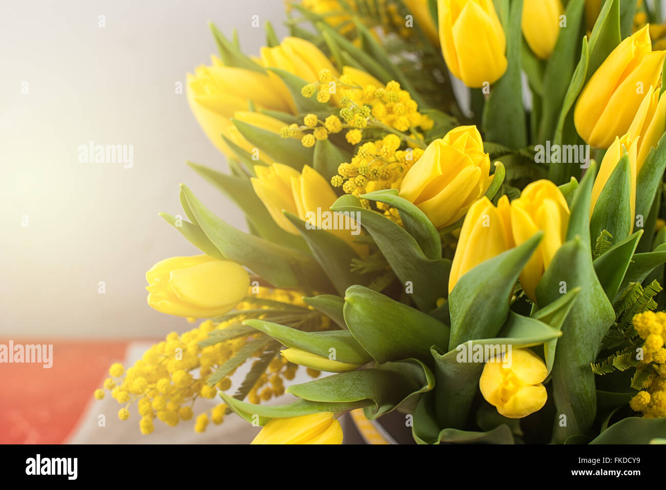 Bright spring bouquet of tulips and mimosa flowers. Mother's Day or ...
