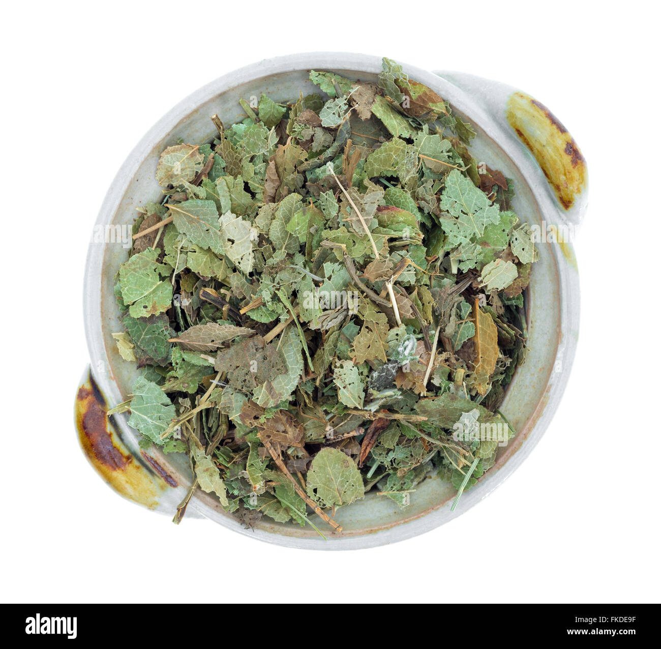 Bilberry stems hi-res stock photography and images - Alamy