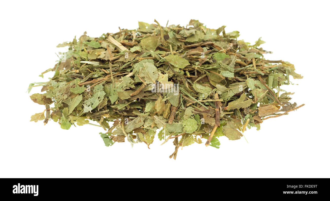 A portion of dried bilberry leaf isolated on a white background Stock ...