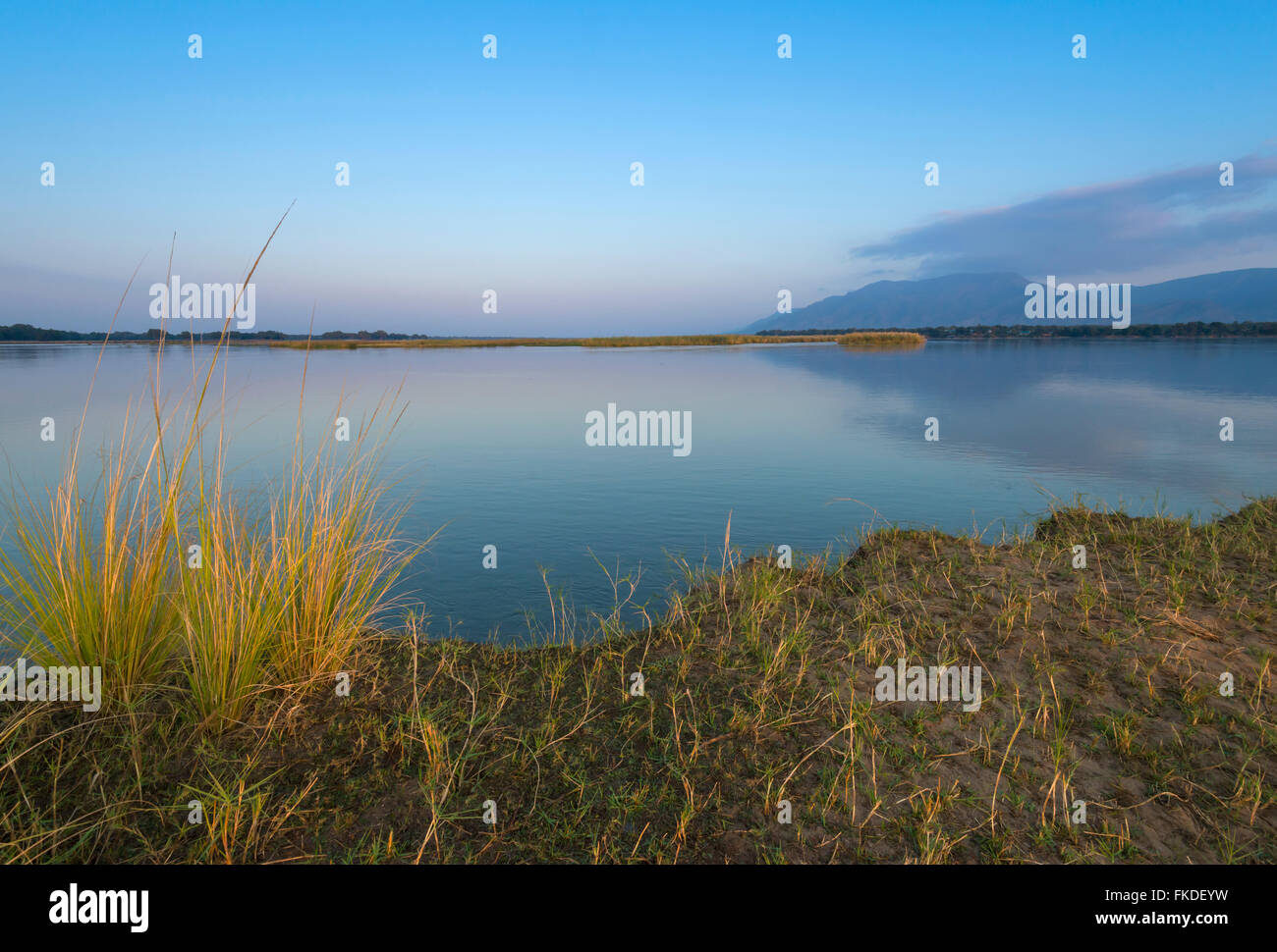 Saf saf river hi-res stock photography and images - Alamy