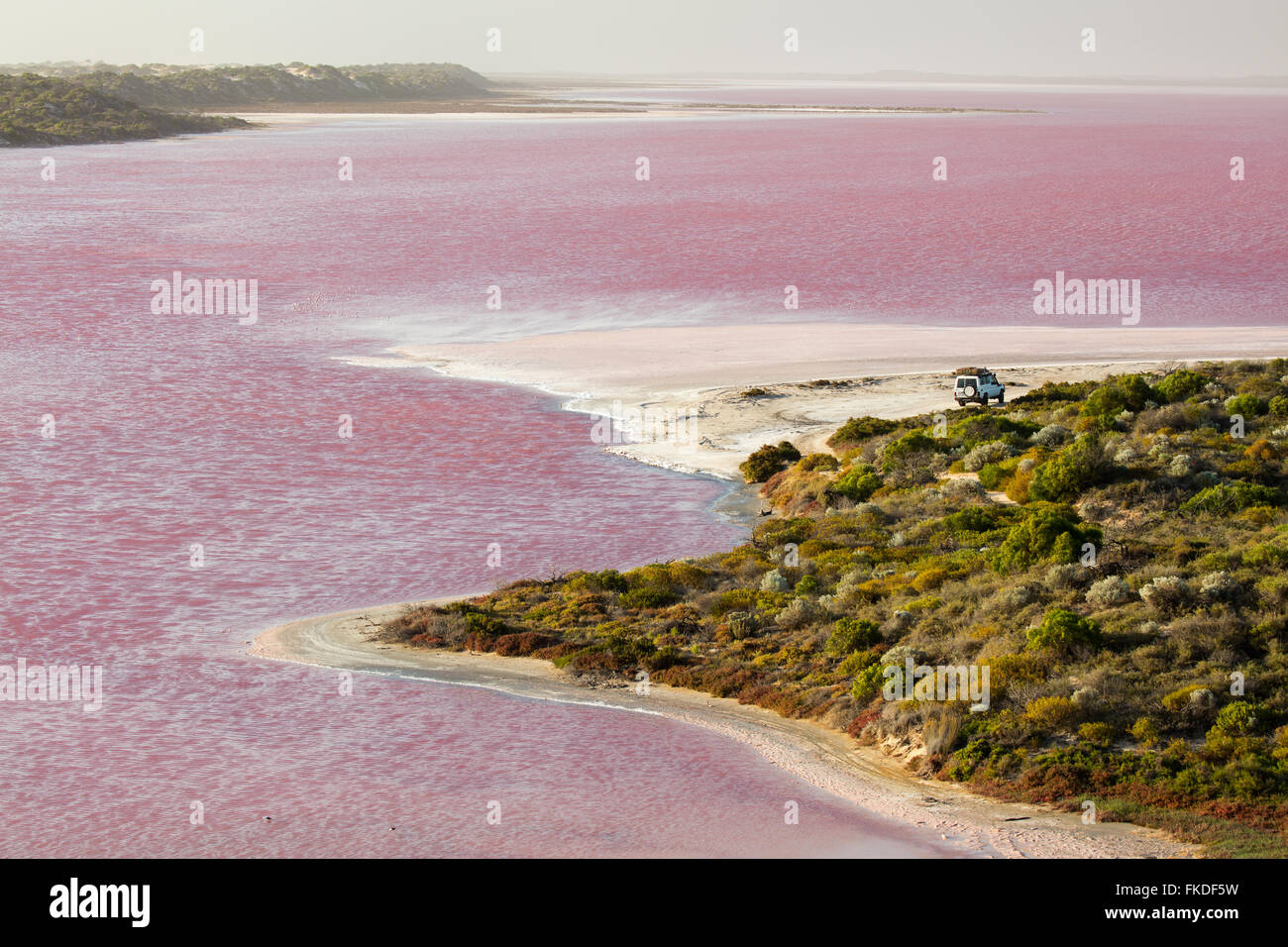 the troopy on the shores of the pink Hutt Lagoon at Port Gregory, West ...