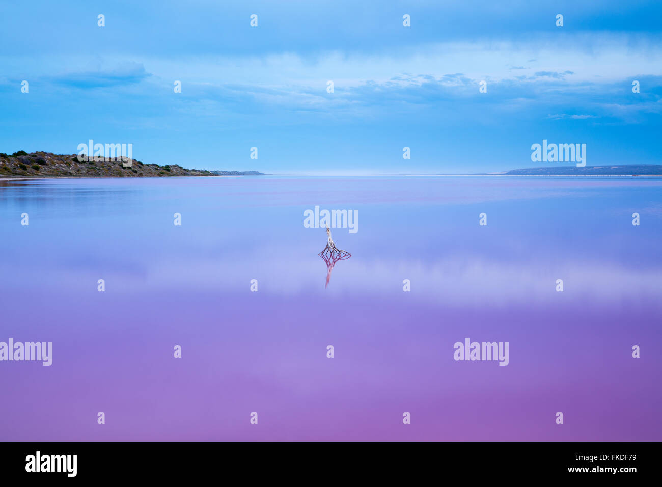 the pink lagoon at Port Gregory, West Australia Stock Photo - Alamy