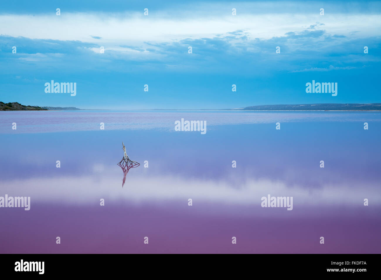 the pink lagoon at Port Gregory, West Australia Stock Photo - Alamy