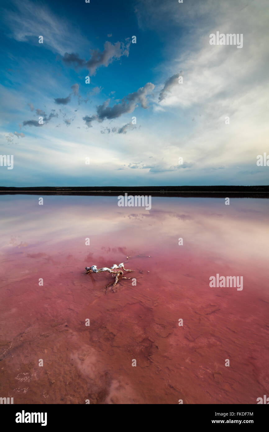 the pink lagoon at Port Gregory, West Australia Stock Photo - Alamy