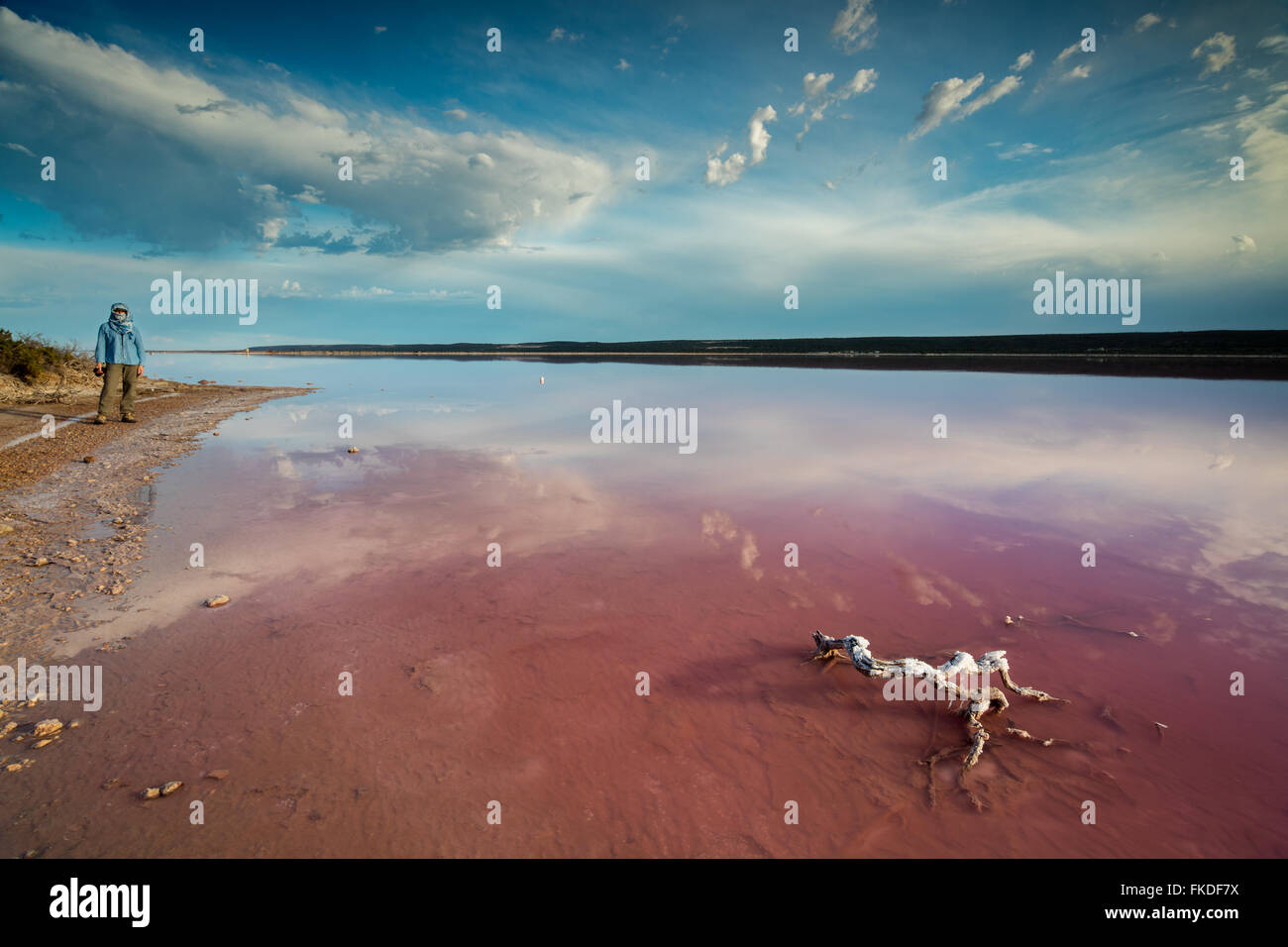 Wendy on shore of the pink lagoon at Port Gregory, West Australia Stock ...