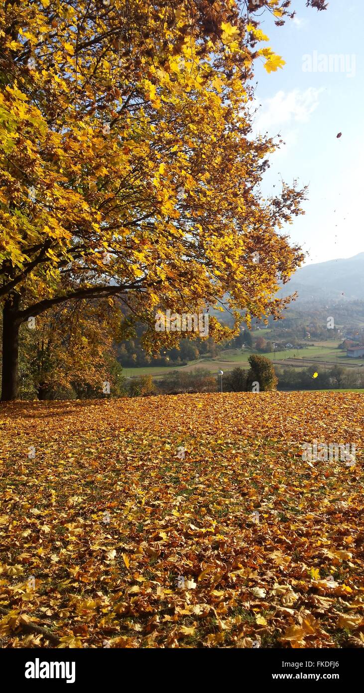 Fall in Croatia. Wonderful colors and special time in year Stock Photo ...