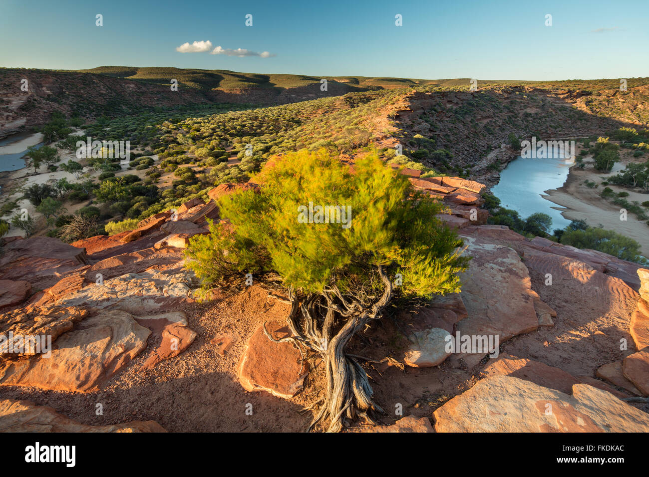 the Murchison River gorge from Natures Window, Kalbarri National Park ...