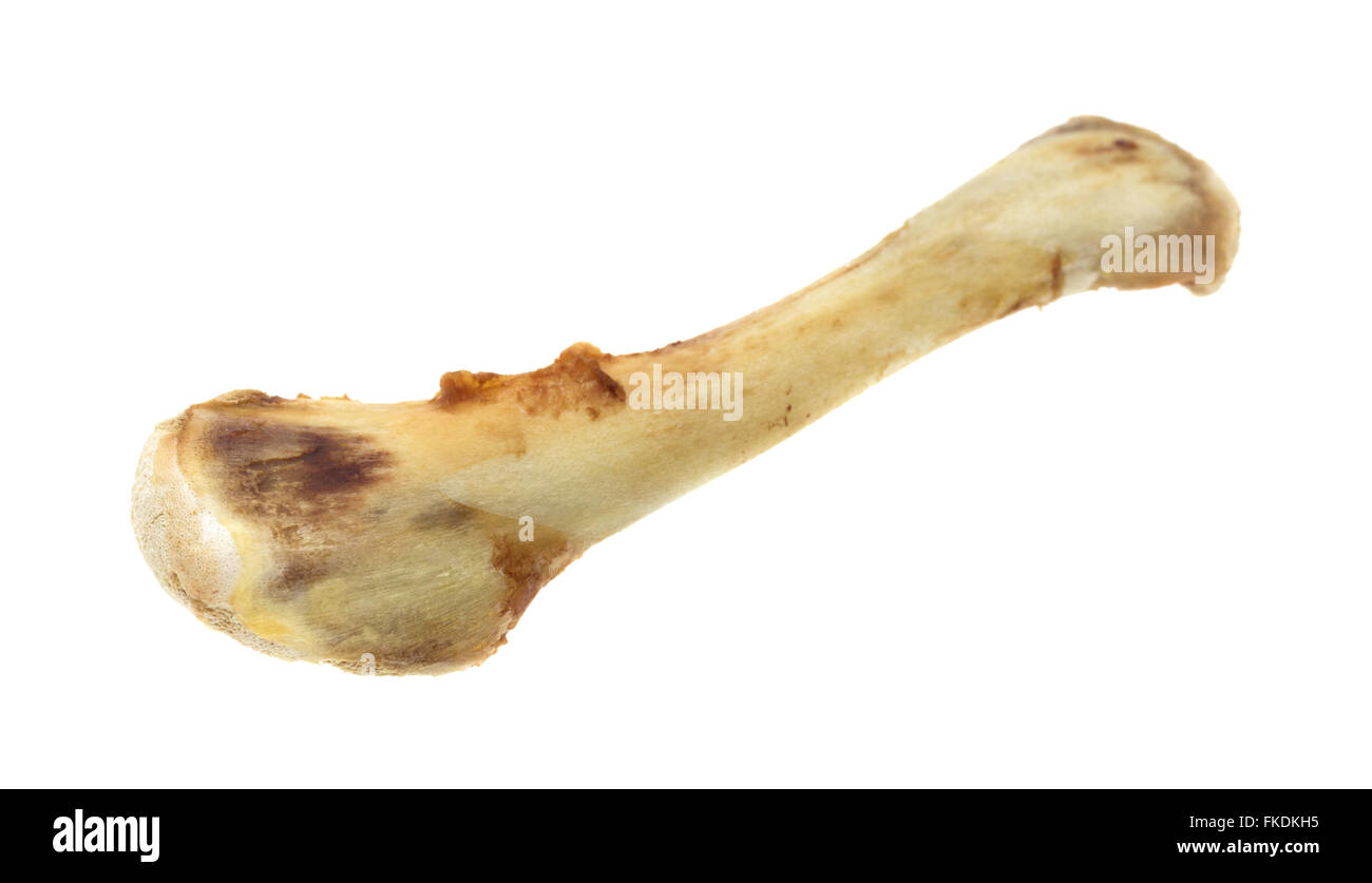 Chicken bone hi-res stock photography and images - Alamy