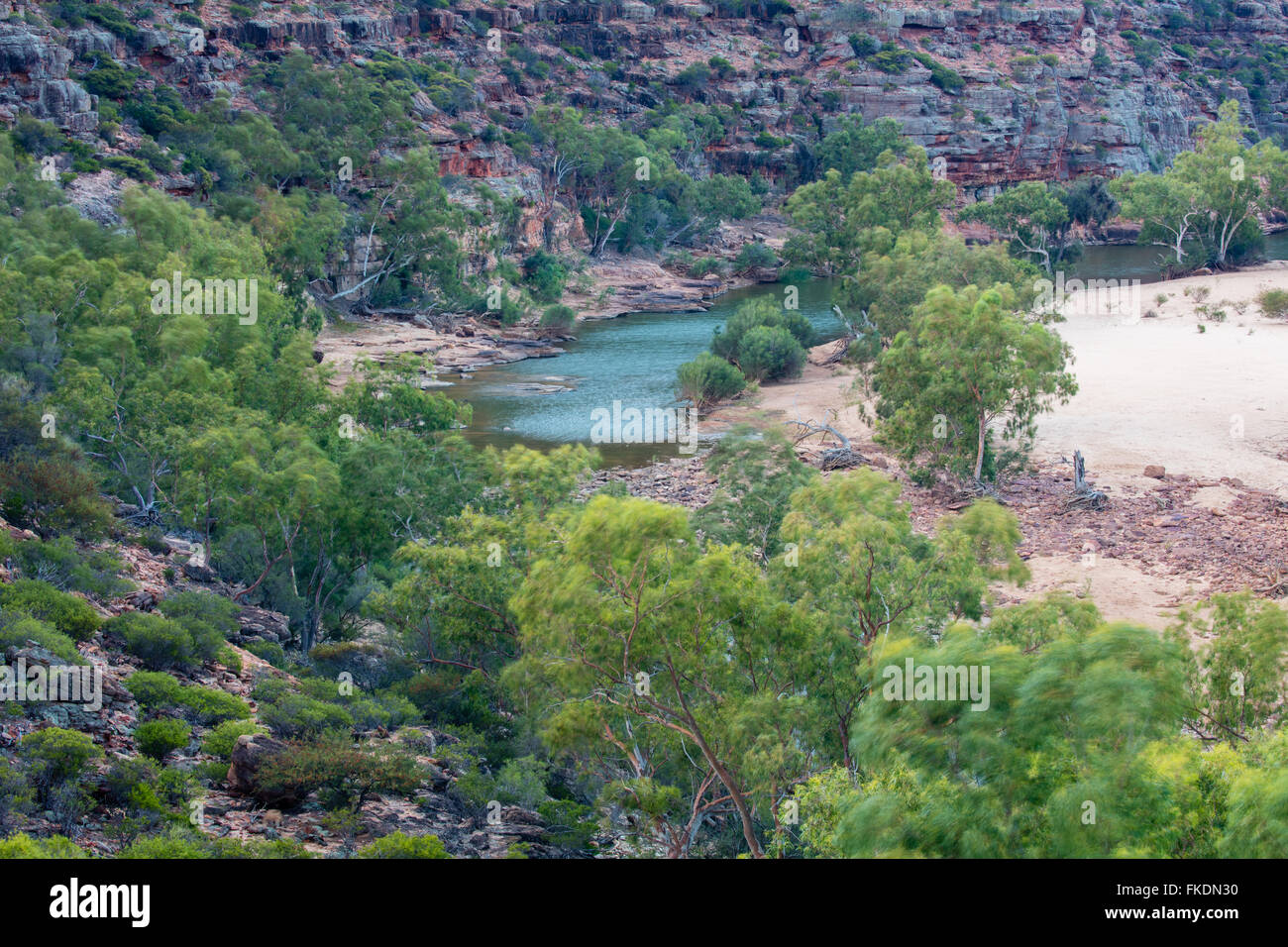 the Murchison River gorge at Ross Graham, Kalbarri National Park ...