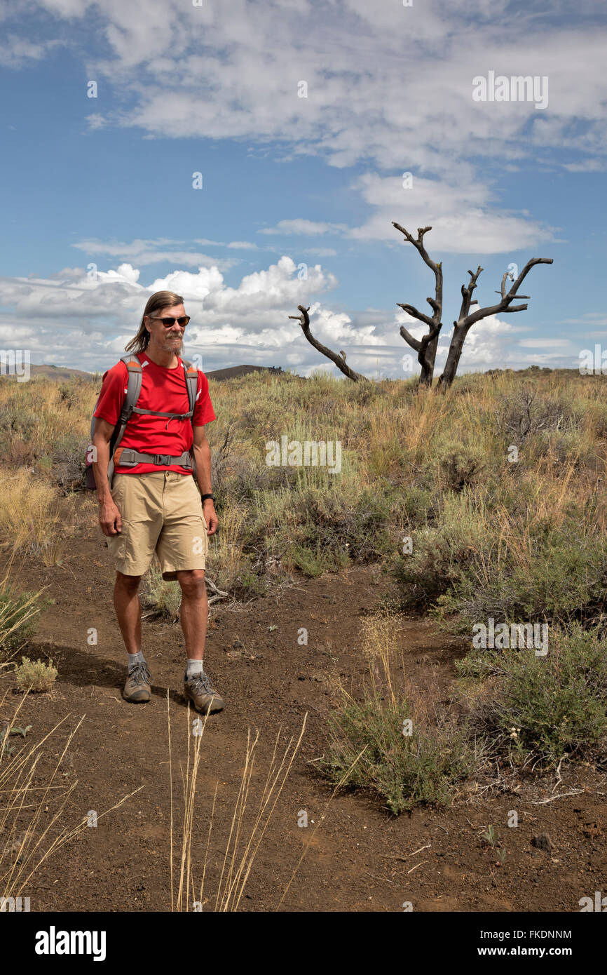 IDAHO - Hiker passing a tree skeleton in sagebrush prairie along ...