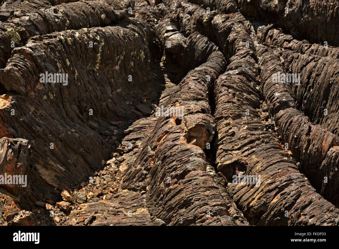IDAHO - Pahoehoe, ropey, lava along the Broken Top Loop Trail in ...
