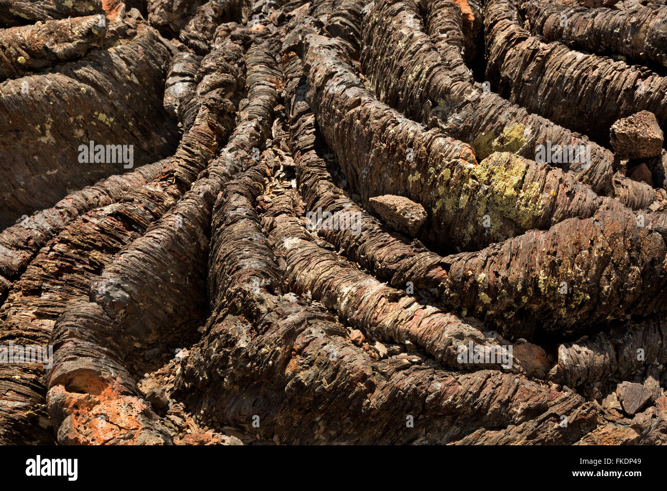 IDAHO - Pahoehoe, ropey, lava along the Broken Top Loop Trail in ...