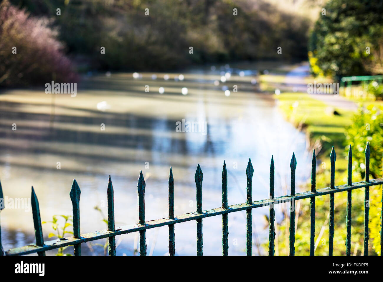 Spike fence rail railing pointed spiky spiked dangerous danger beware ...