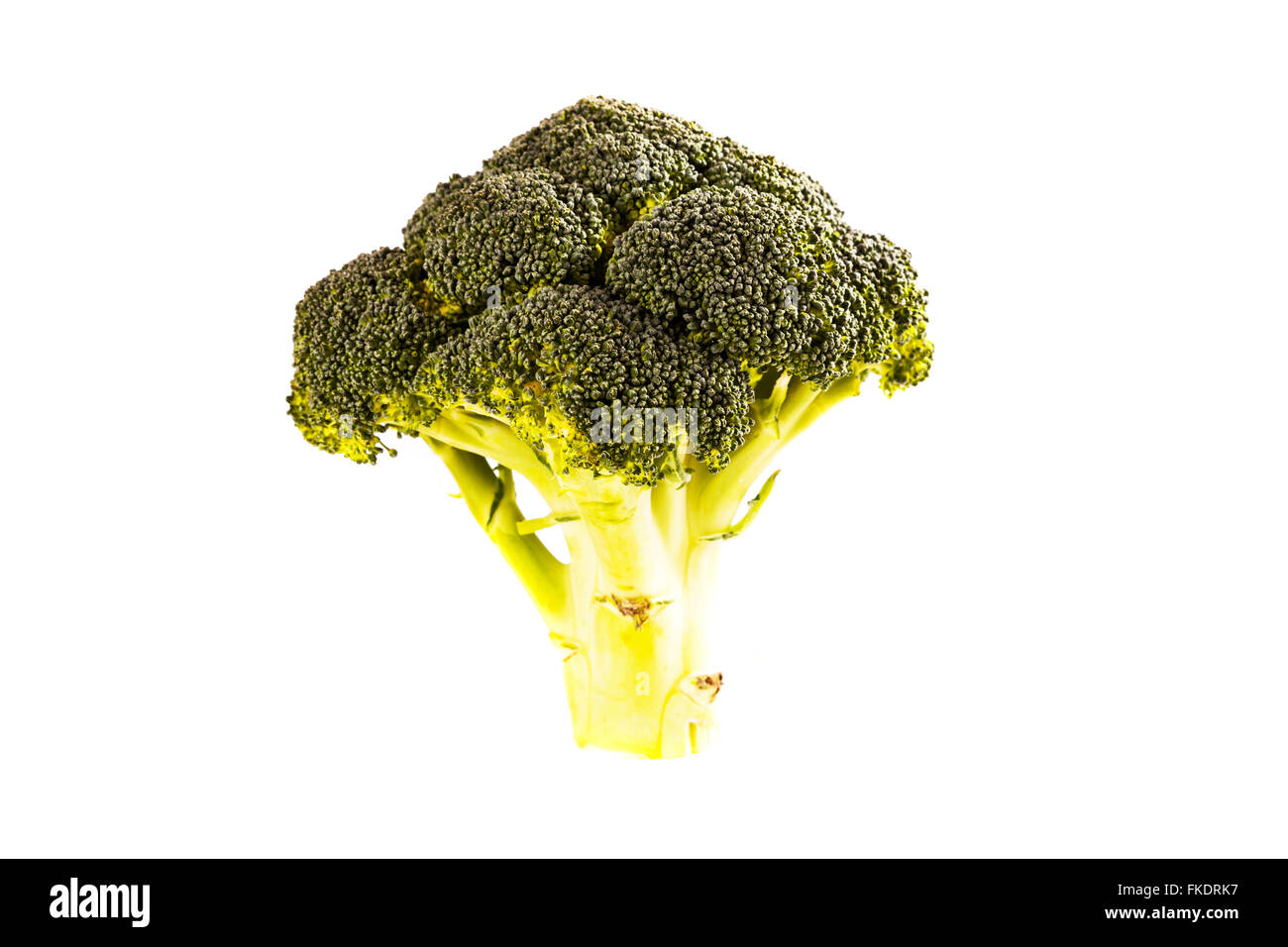 Broccoli vegetable plant stem food green greens cut out cutout white ...