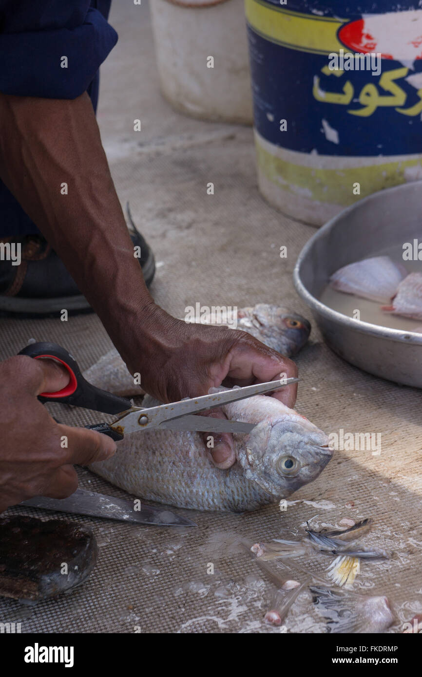 Gutting fish hi-res stock photography and images - Alamy