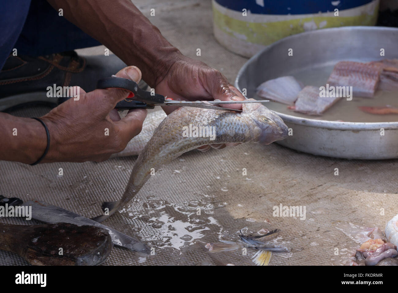 fisherman gutting fish on a fishing boat Stock Photo - Alamy