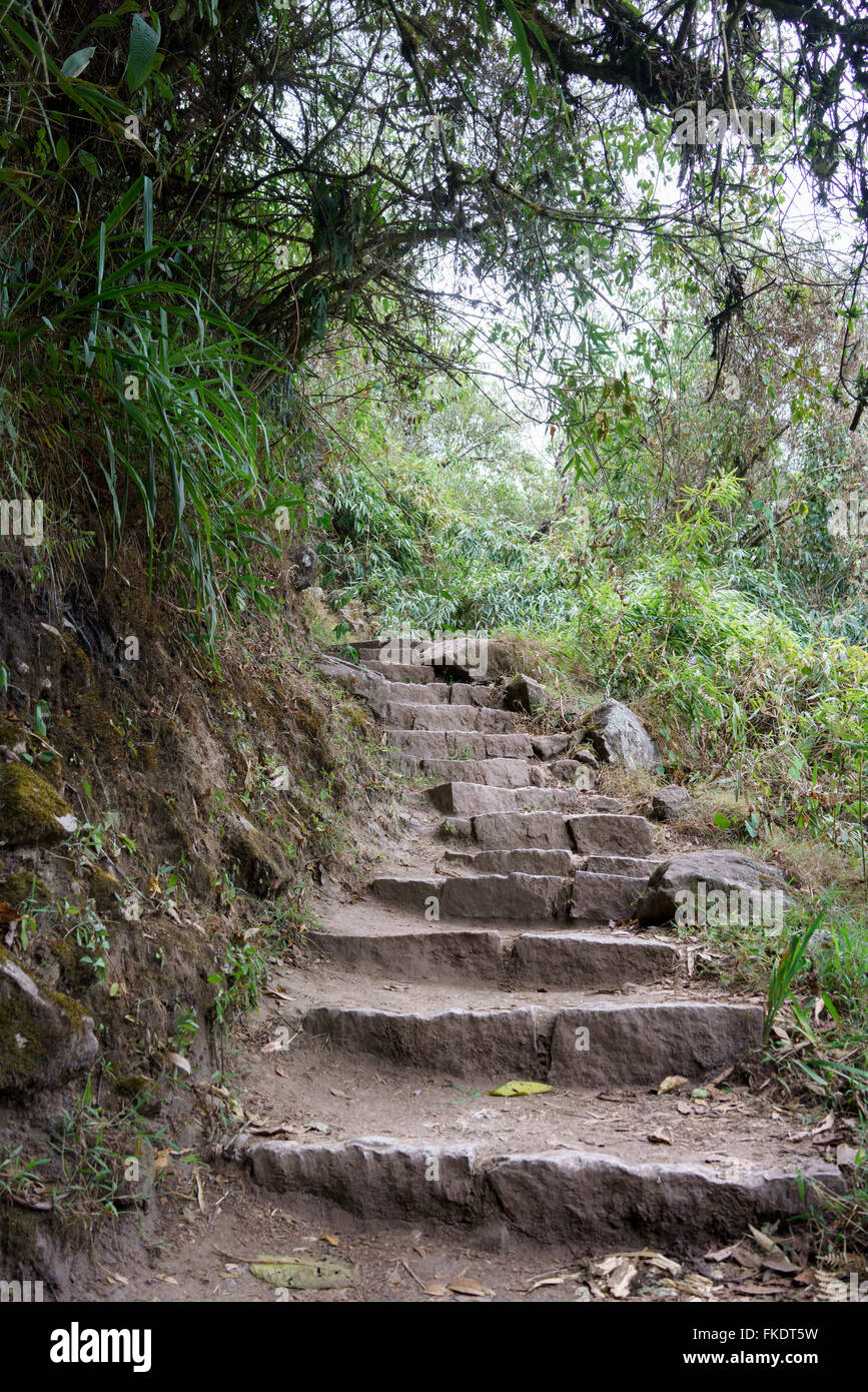 Machu picchu steps hi-res stock photography and images - Alamy