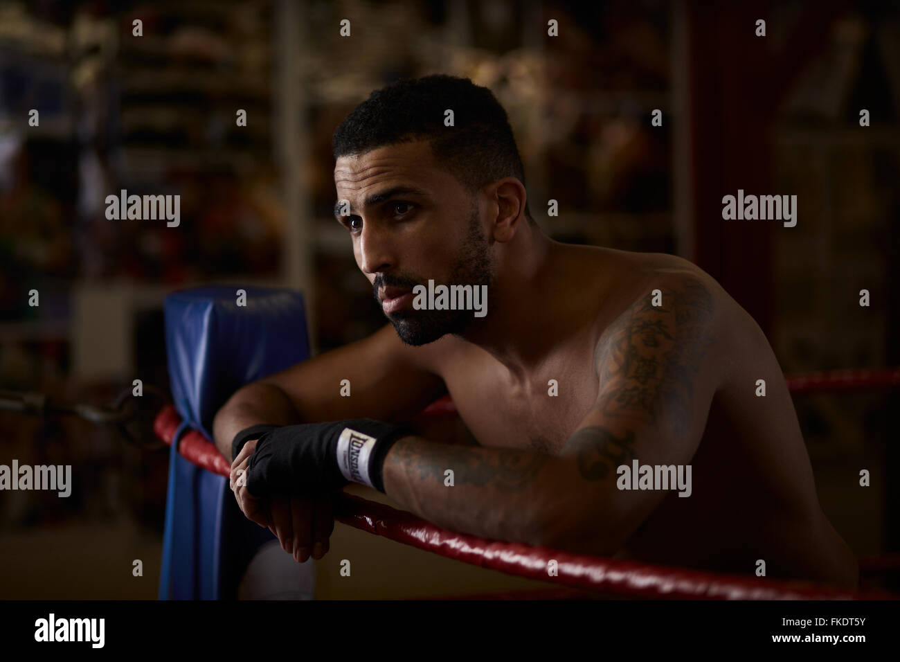 Professional Light Middleweight Boxer High Resolution Stock Photography ...