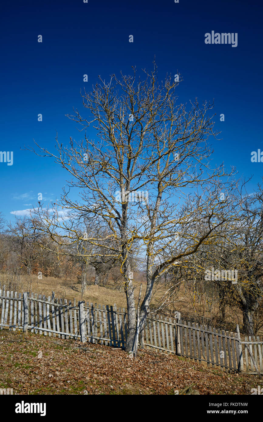 Walnut fence hi-res stock photography and images - Alamy