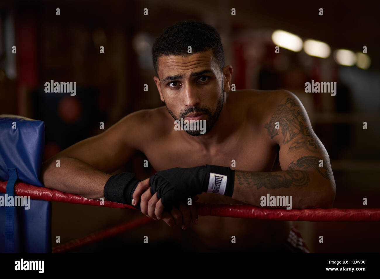Professional Light Middleweight Boxer High Resolution Stock Photography ...