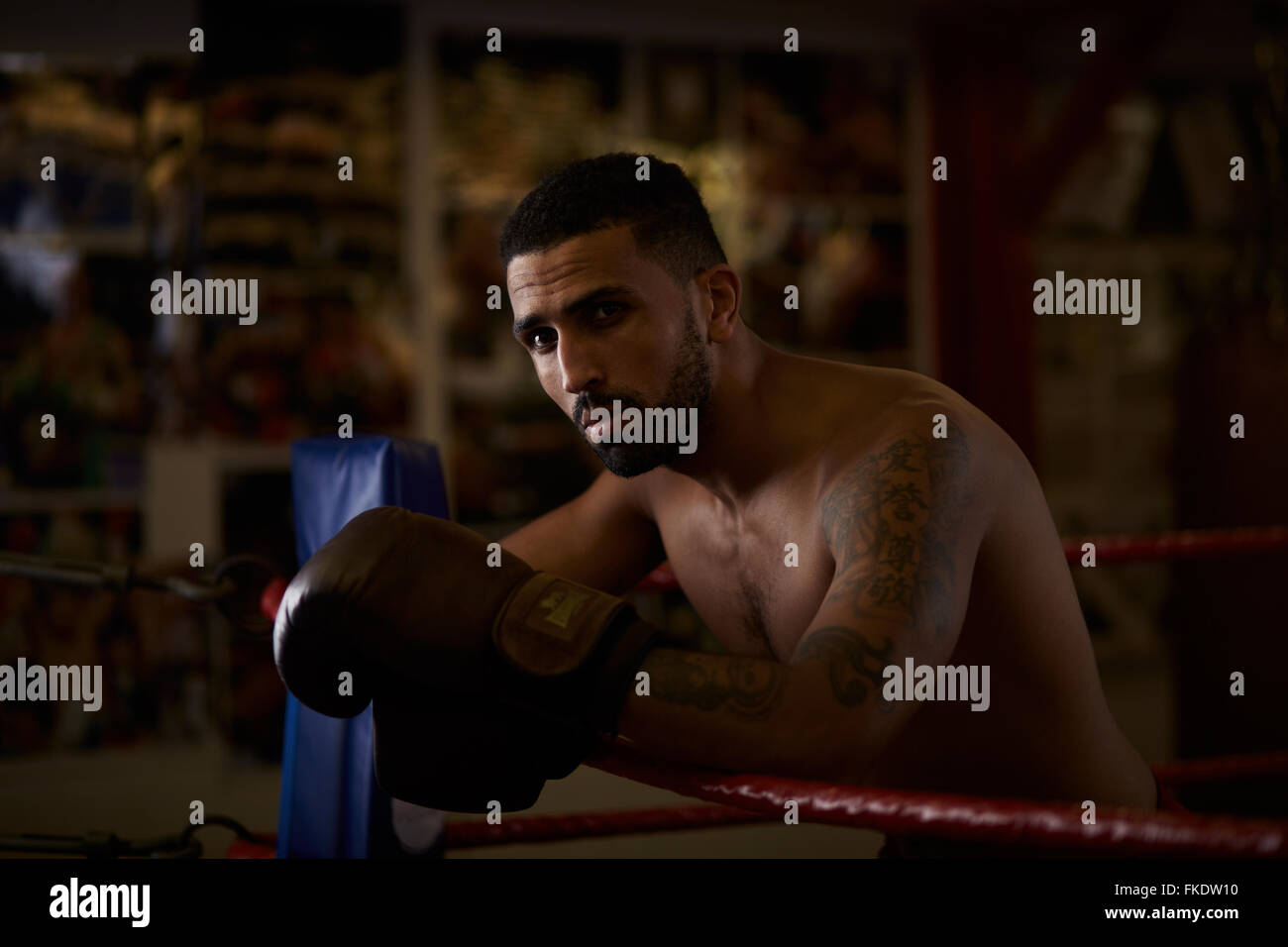 Professional Light Middleweight Boxer Aarron Morgan Stock Photo - Alamy